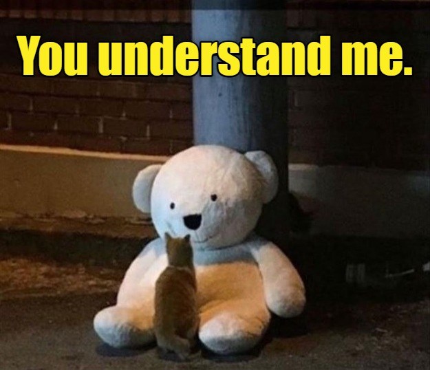 How comforting. - Lolcats - lol | cat memes | funny cats | funny cat ...