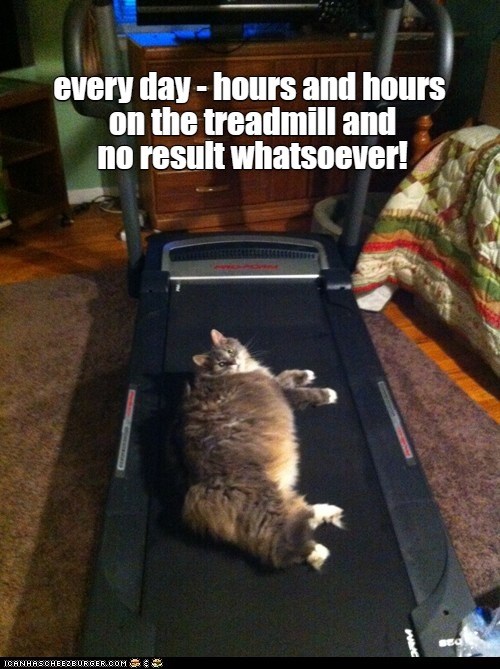 Every day - hours and hours - Lolcats - lol | cat memes | funny cats ...