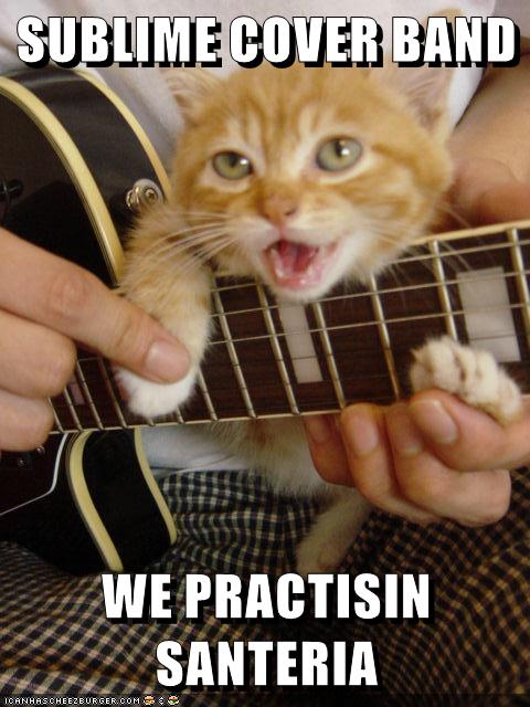 SUBLIME COVER BAND - Lolcats - lol | cat memes | funny cats | funny cat ...