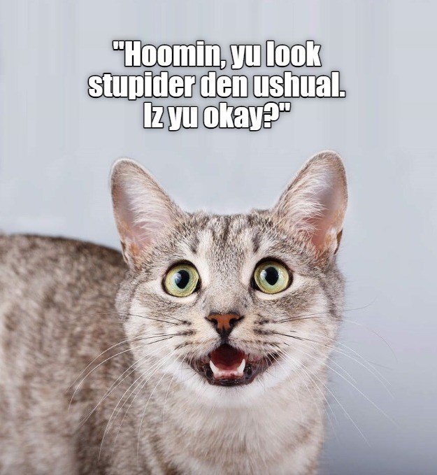 You Look Different - I Can Has Cheezburger?