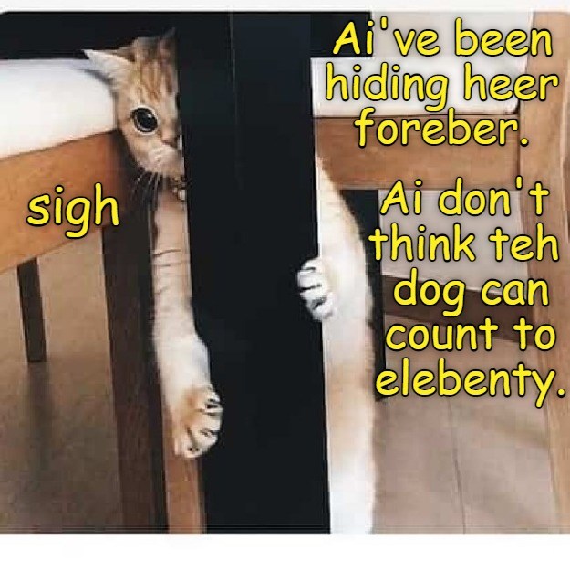 Hide and... - Lolcats - lol | cat memes | funny cats | funny cat ...