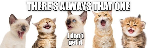 One, but we're not the same - Lolcats - lol | cat memes | funny cats ...