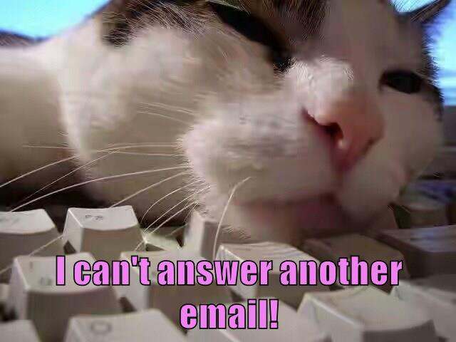 I can't answer another email! - Lolcats - lol | cat memes | funny cats ...