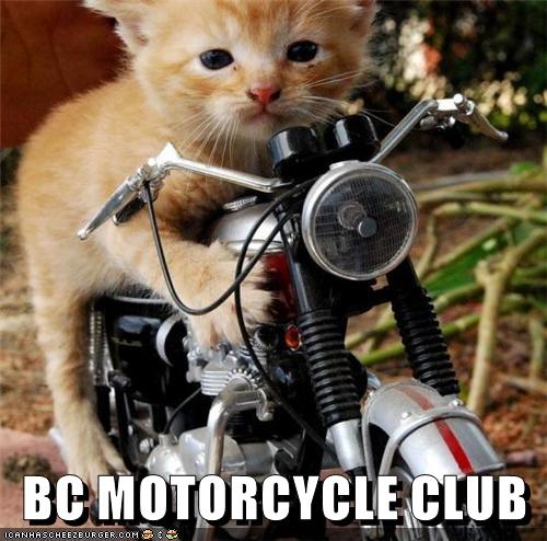 BC MOTORCYCLE CLUB - Lolcats - lol | cat memes | funny cats | funny cat ...