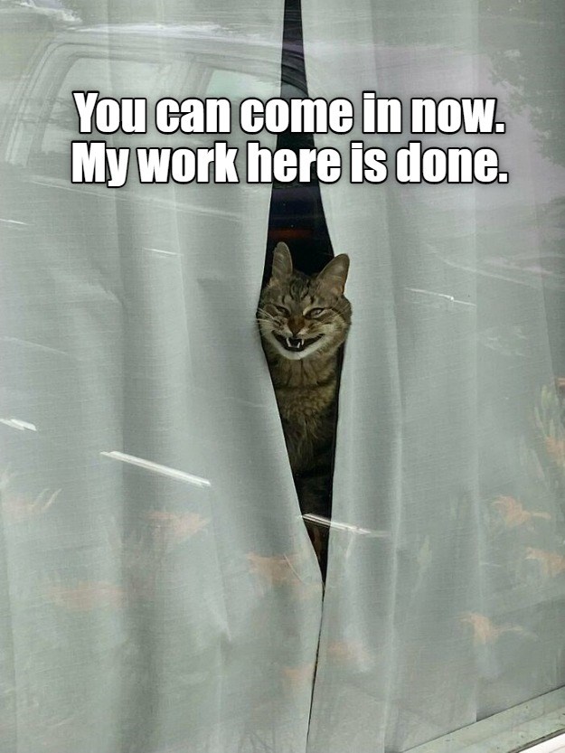 My work here is done - Lolcats - lol | cat memes | funny cats | funny ...
