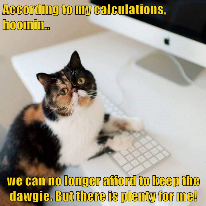 It's simple math - Lolcats - lol | cat memes | funny cats | funny cat ...