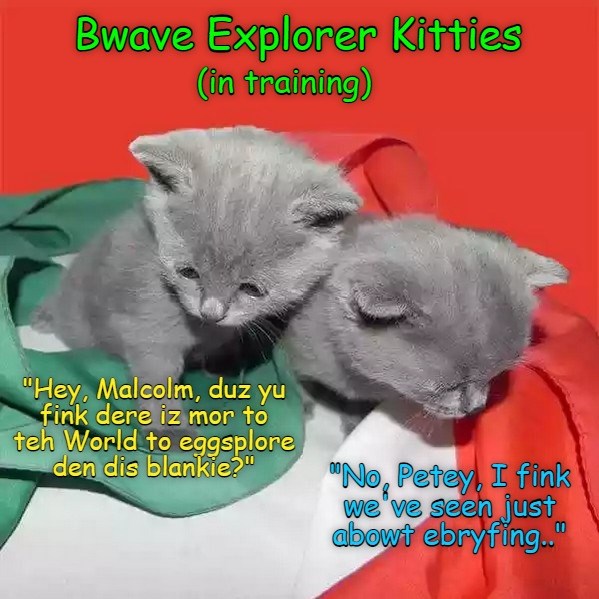 New Recruits.. - Lolcats - lol | cat memes | funny cats | funny cat ...