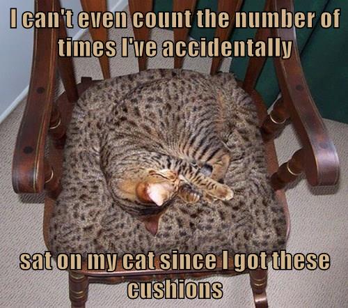 Times and times again - Lolcats - lol | cat memes | funny cats | funny ...