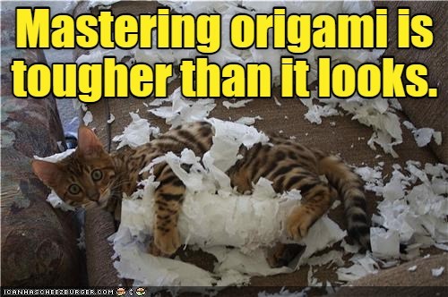 The fine art of paper FOLDING. - Lolcats - lol | cat memes | funny cats ...