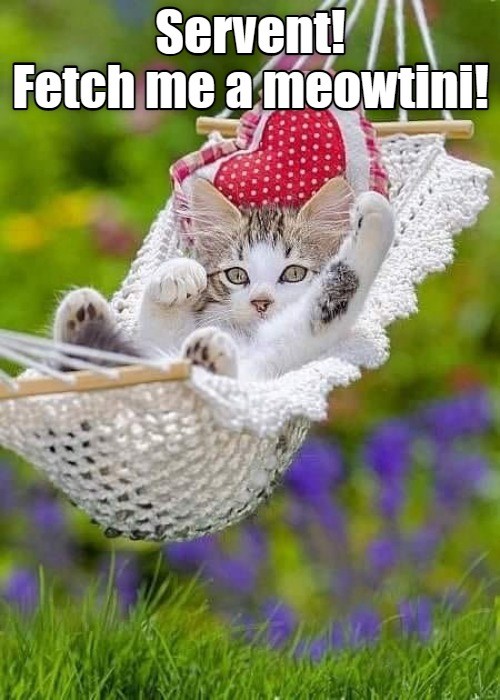 An' make it snappy! - Lolcats - lol | cat memes | funny cats | funny ...