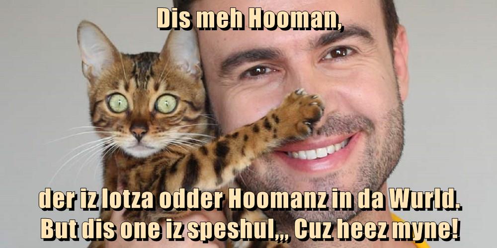 Dis meh Hooman - Lolcats - lol | cat memes | funny cats | funny cat ...