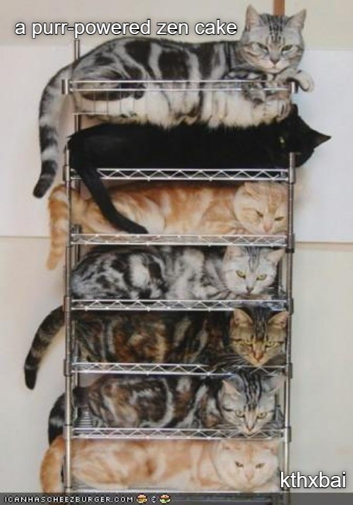 Wut? - Lolcats - lol | cat memes | funny cats | funny cat pictures with ...