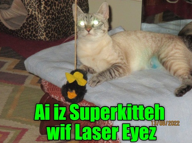 Superkitteh - Lolcats - lol | cat memes | funny cats | funny cat ...