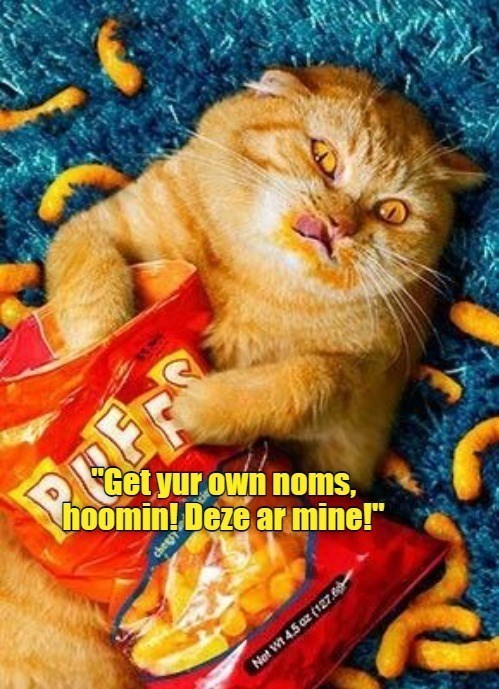 Get Your Own - I Can Has Cheezburger?