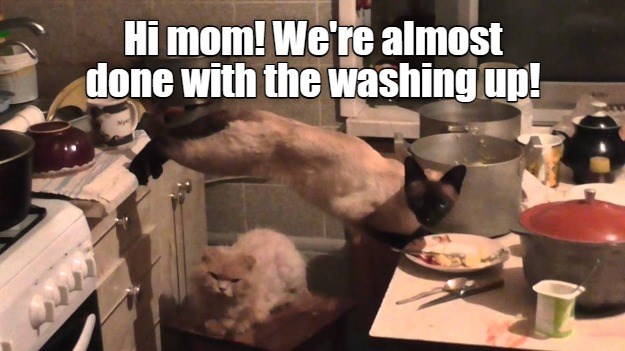 Almost there - Lolcats - lol | cat memes | funny cats | funny cat ...