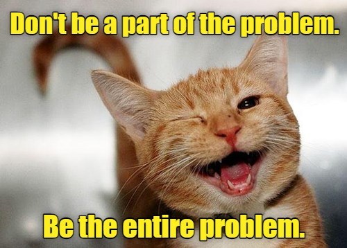 Cats don't like to share. - Lolcats - lol | cat memes | funny cats ...