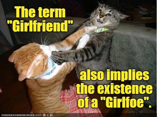 You know it's true - Lolcats - lol | cat memes | funny cats | funny cat ...