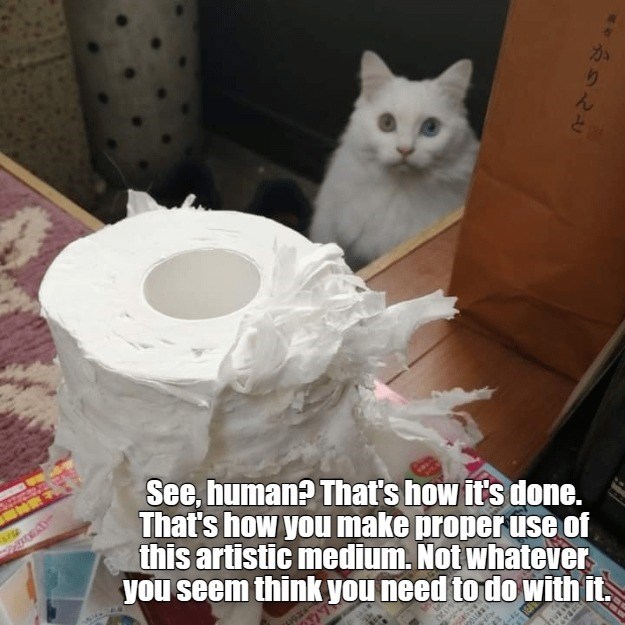 Now you try it - Lolcats - lol | cat memes | funny cats | funny cat ...