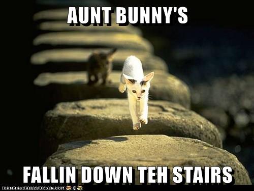 FALLIN DOWN TEH STAIRS - Lolcats - lol | cat memes | funny cats | funny ...