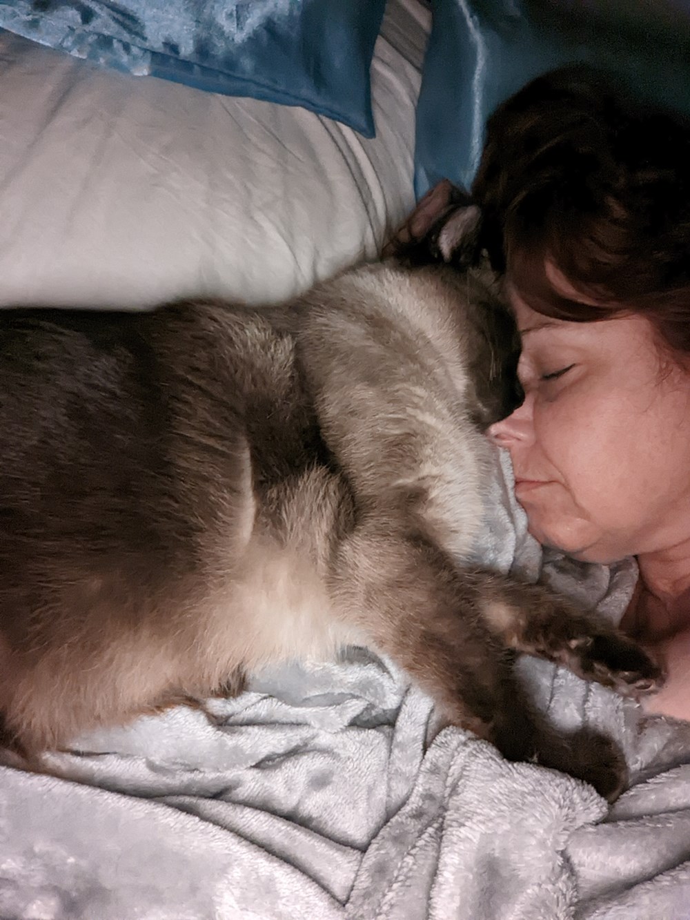 This is why I can't sleep! - Lolcats - lol | cat memes | funny cats ...