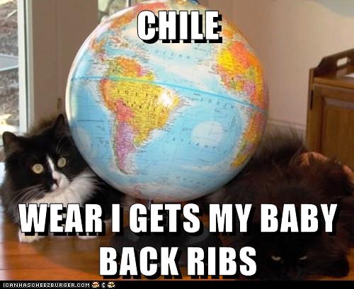 CHILE - Lolcats - lol | cat memes | funny cats | funny cat pictures ...