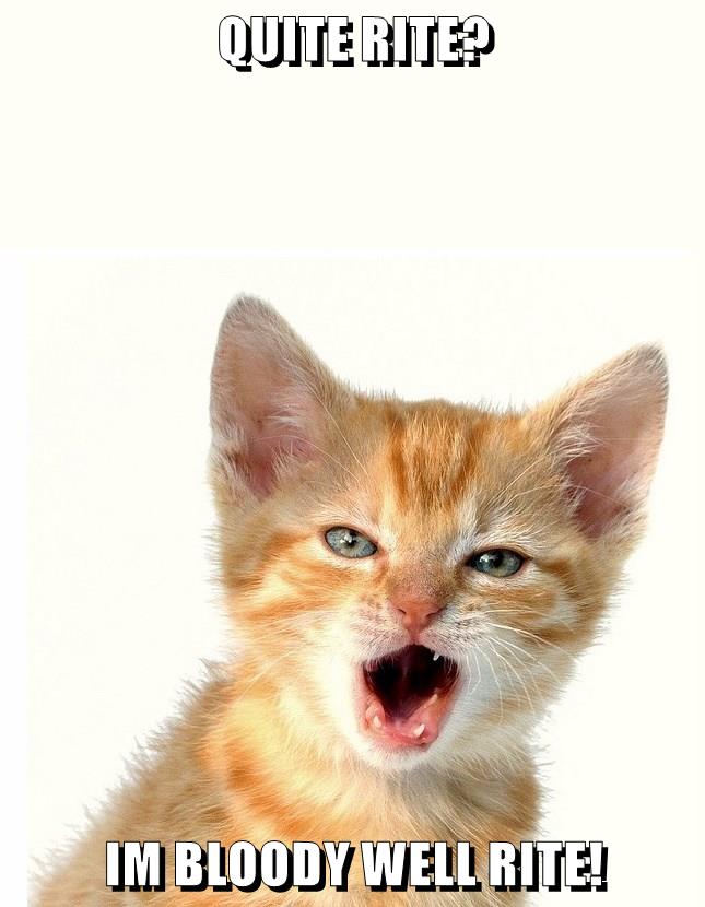QUITE RITE? - Lolcats - lol | cat memes | funny cats | funny cat ...