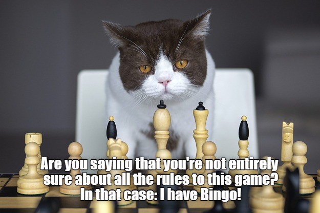 Bingo! - Lolcats - lol | cat memes | funny cats | funny cat pictures with words on them | funny ...