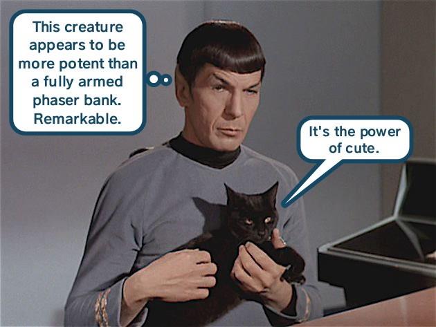 Cats > logic - Lolcats - lol | cat memes | funny cats | funny cat ...