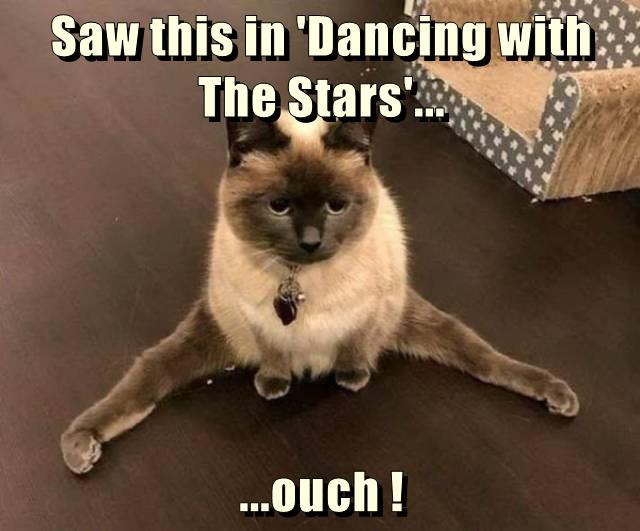 Saw this in 'Dancing with The Stars'... ...ouch ! - Lolcats - lol | cat ...