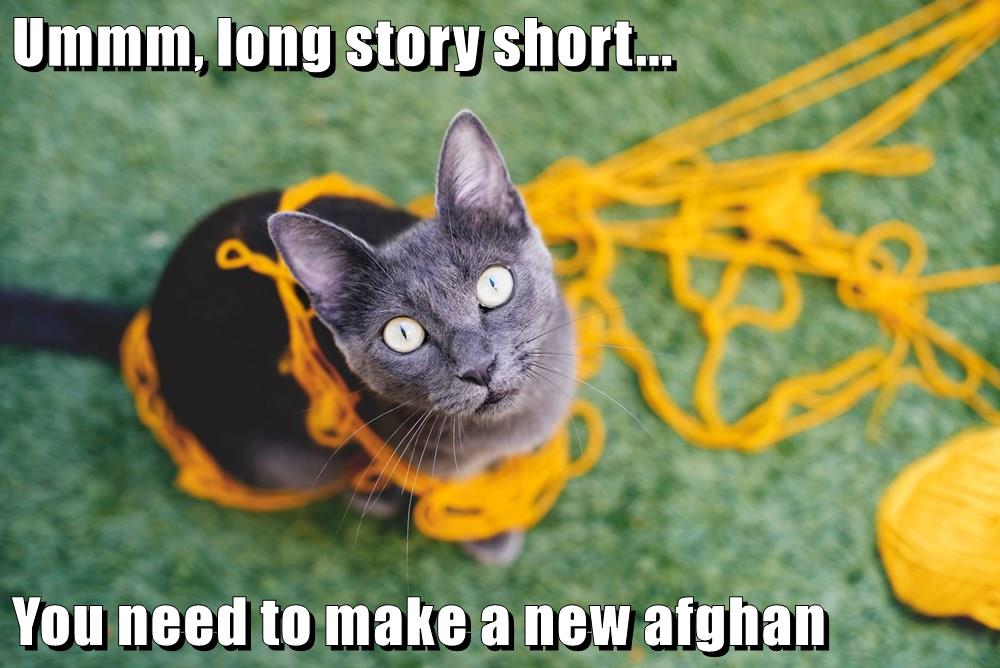 Ummm, long story short... - Lolcats - lol | cat memes | funny cats ...