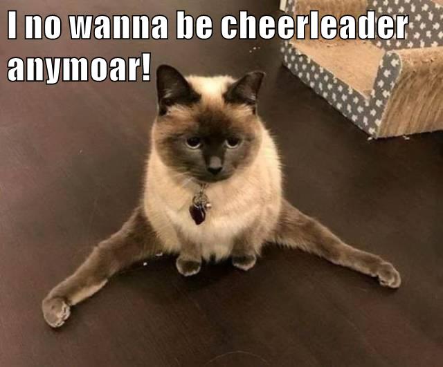 I no wanna be cheerleader anymoar! - Lolcats - lol | cat memes | funny ...