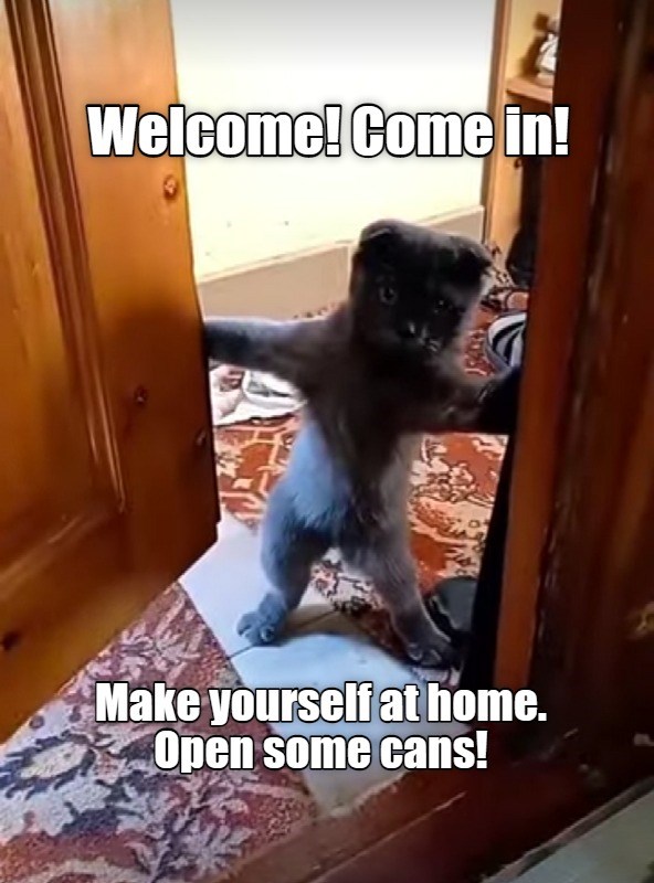 Welcome! - Lolcats - lol | cat memes | funny cats | funny cat pictures ...