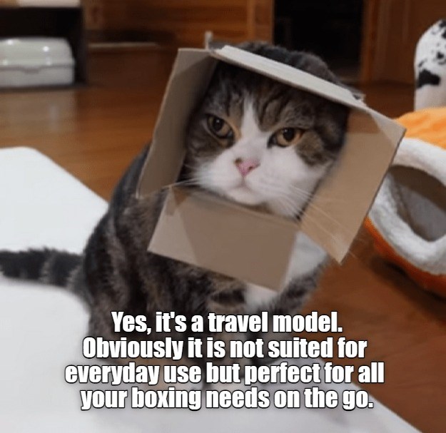 All your boxing needs on the go - Lolcats - lol | cat memes | funny ...