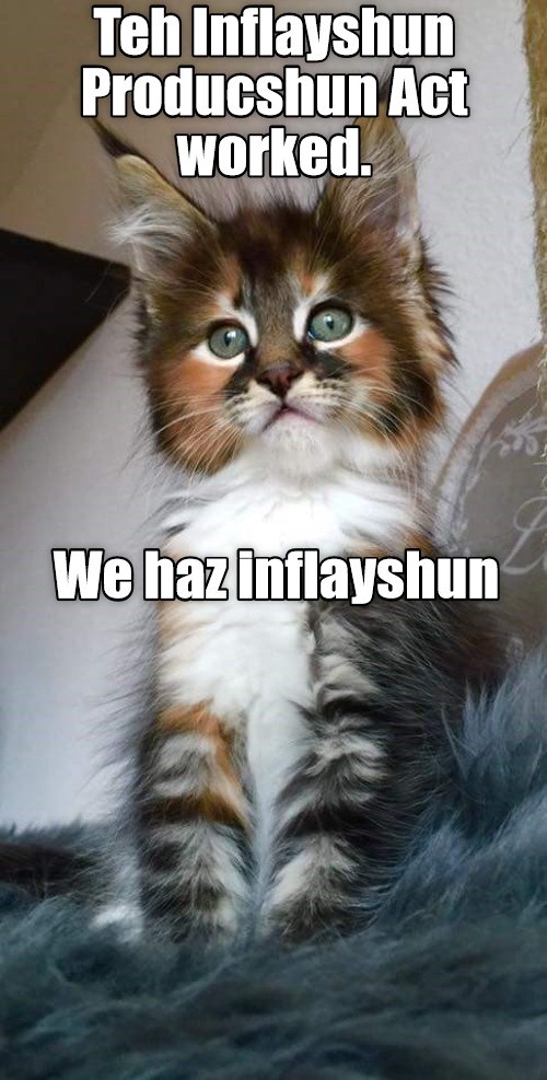 Financial Kitty not happy - Lolcats - lol | cat memes | funny cats ...