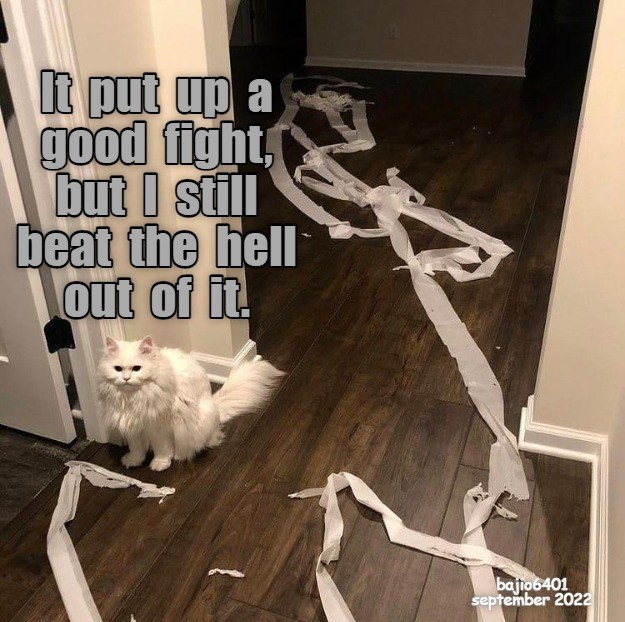 TOILET PAPER: 0, CAT: 2,398,630 - Lolcats - lol | cat memes | funny ...