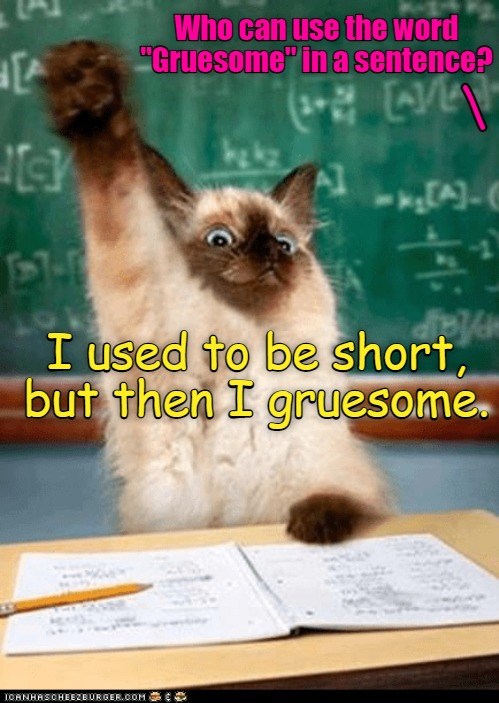 *SIGH* Let's try again. - Lolcats - lol | cat memes | funny cats ...