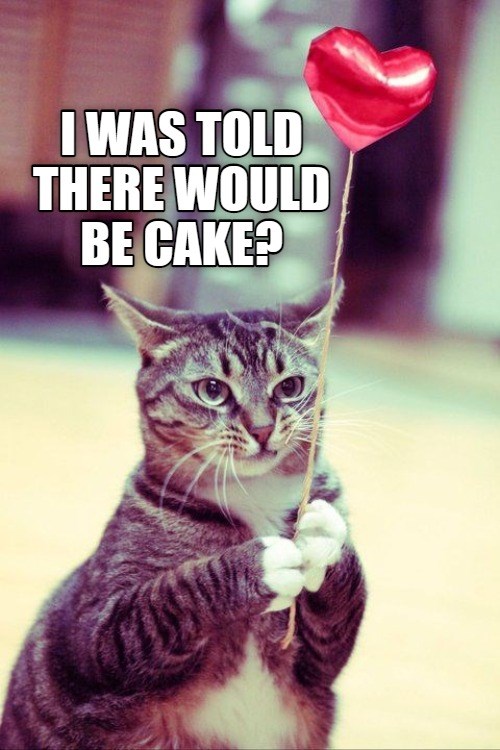 I WAS TOLD THERE WOULD BE CAKE? - Lolcats - lol | cat memes | funny ...