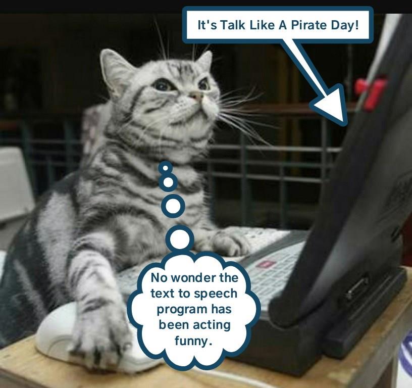 Translation required - Lolcats - lol | cat memes | funny cats | funny ...