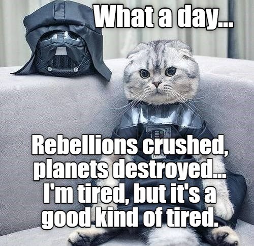 Job Satisfaction - Lolcats - lol | cat memes | funny cats | funny cat ...