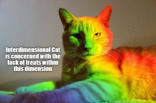 Dimensionally Speaking, That Is - Lolcats - lol | cat memes | funny ...