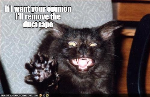 And I'll Remove Other Things As Well - Lolcats - lol | cat memes ...