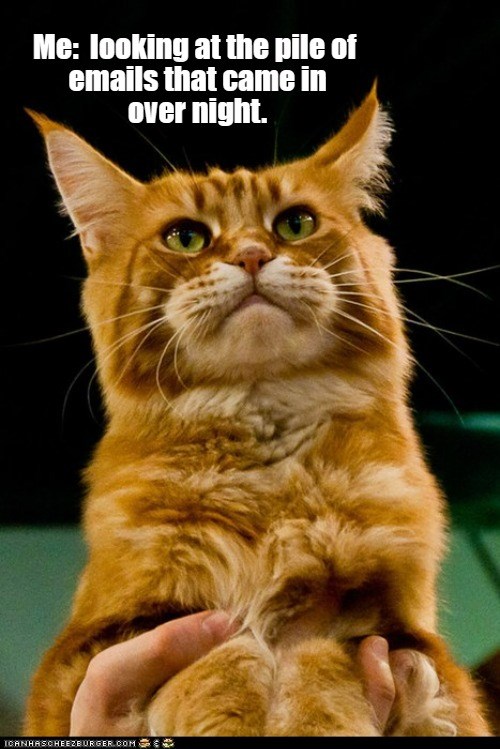 Pile-up - Lolcats - lol | cat memes | funny cats | funny cat pictures ...