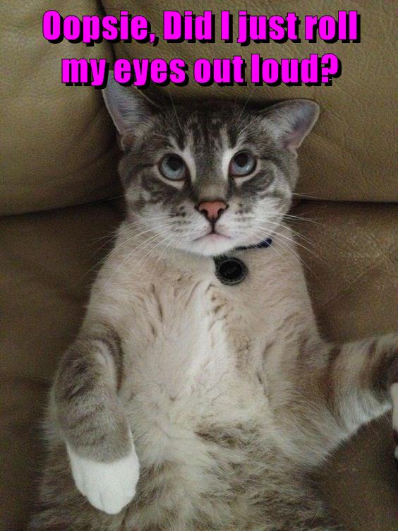 Oopsie - Lolcats - lol | cat memes | funny cats | funny cat pictures ...
