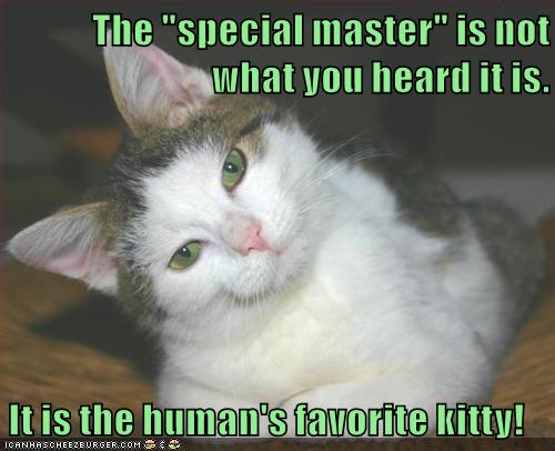The "special master" - Lolcats - lol | cat memes | funny cats | funny ...