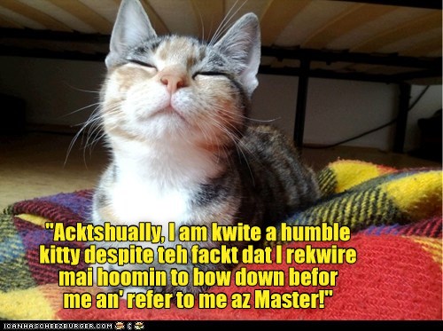 Mister Humble And Dont Dare Contradict Him Lolcats Lol Cat Memes Funny Cats Funny