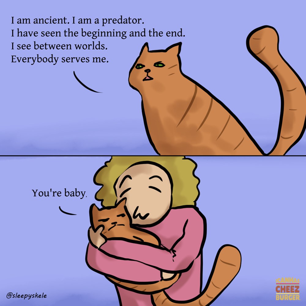 Bebe - I Can Has Cheezburger?