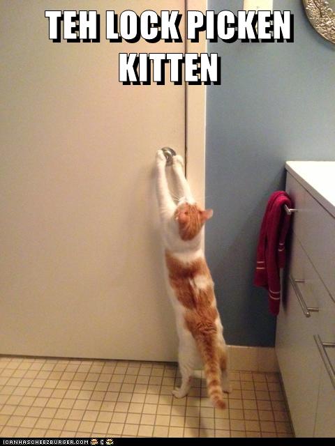 TEH LOCK PICKEN KITTEN - Lolcats - lol | cat memes | funny cats | funny ...