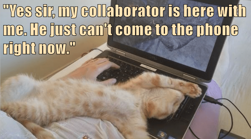 Try again in an hour or ten - Lolcats - lol | cat memes | funny cats ...