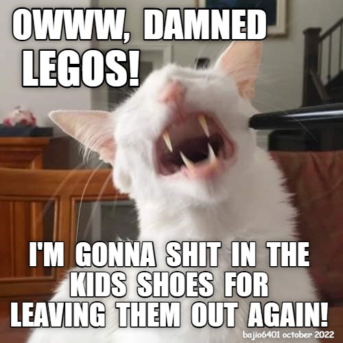 LEGOS, THEY HURT EVERYONE - Lolcats - lol | cat memes | funny cats ...