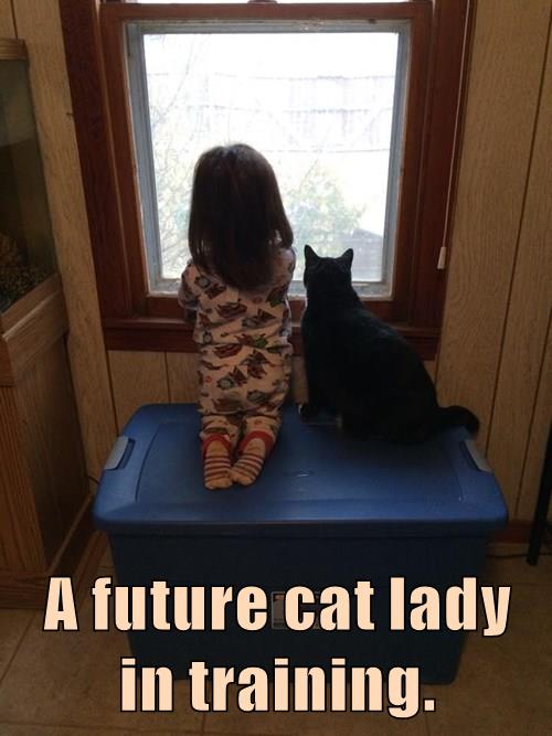 A future cat lady in training. - Lolcats - lol | cat memes | funny cats ...
